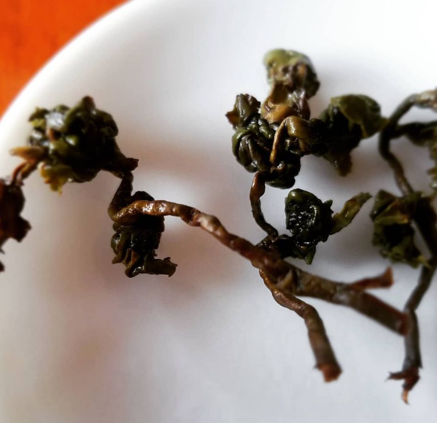 Newsletter – Minnesota Tea Society